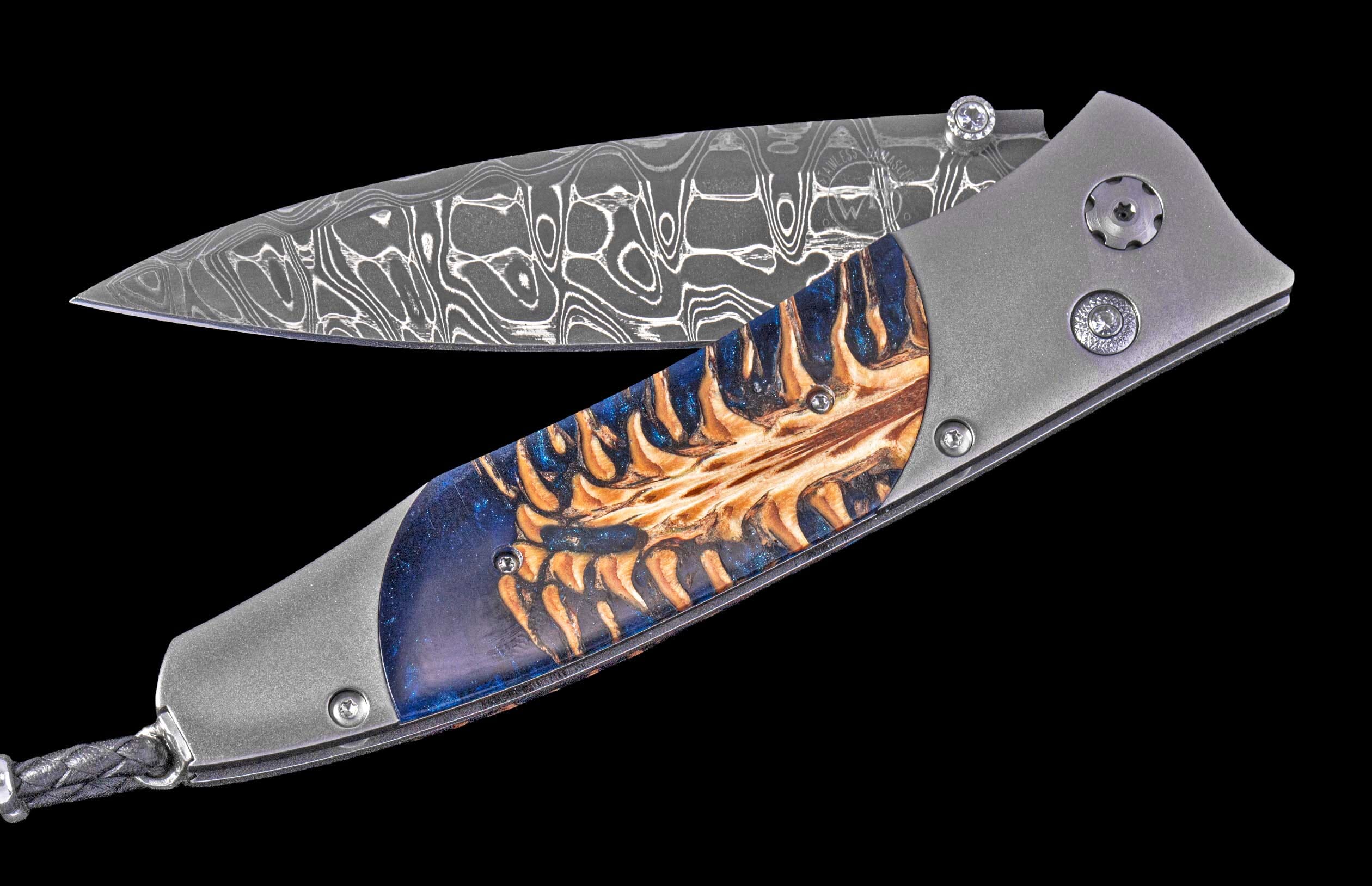 KC25067 – William Henry